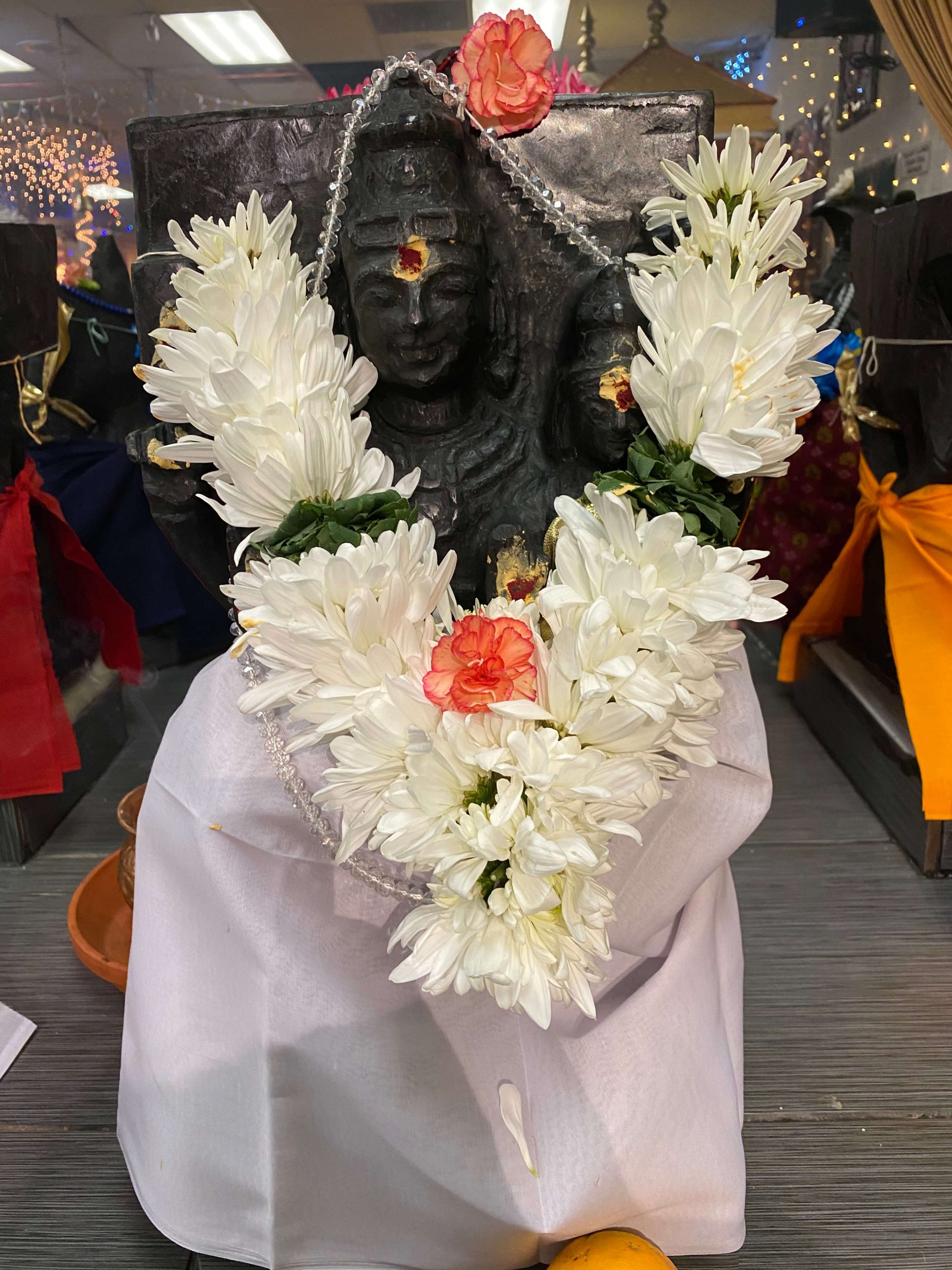 Planetary – Nava Graha Shanthi Yagyas – Vedic Yagya Center