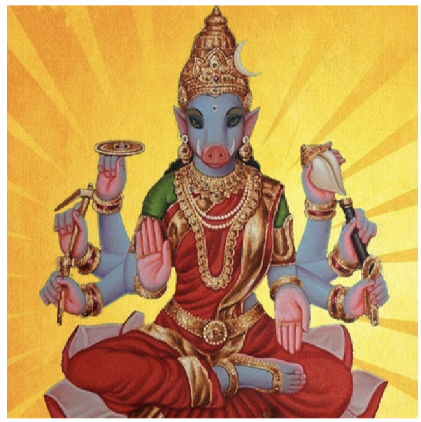 Varahi Navratri Celebrations 2025 – Vedic Yagya Center